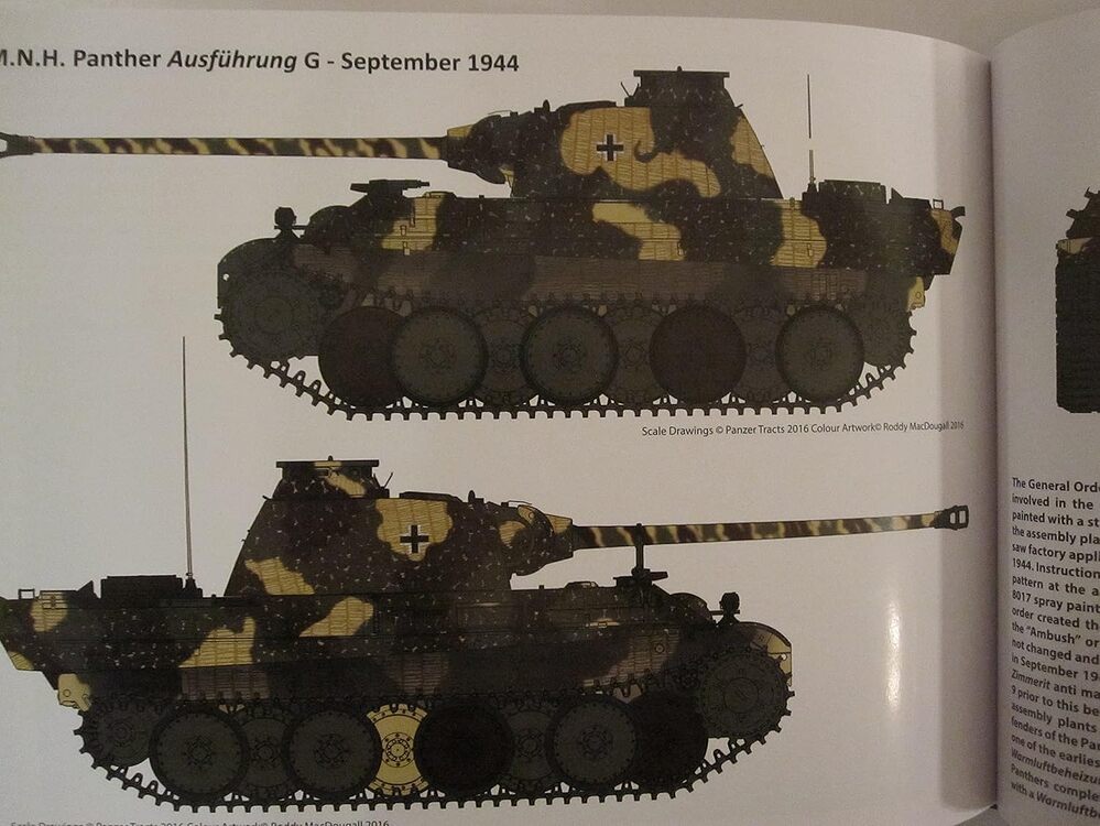 More than one German Dark Yellow - fact or fiction? - WWII Axis ...
