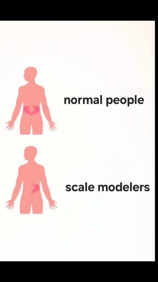Modeling Memes - Page 8 - General Discussions - KitMaker Network